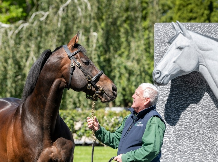 Buy Admission Tickets Tickets online - The Irish National Stud & Gardens